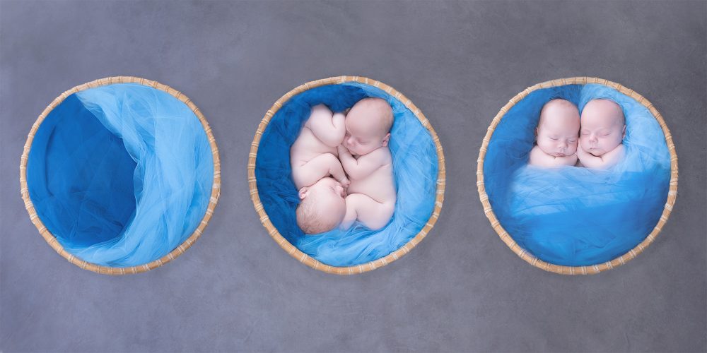 "Create. Gestate. Placate" - Gaby Clark - National Association of ...