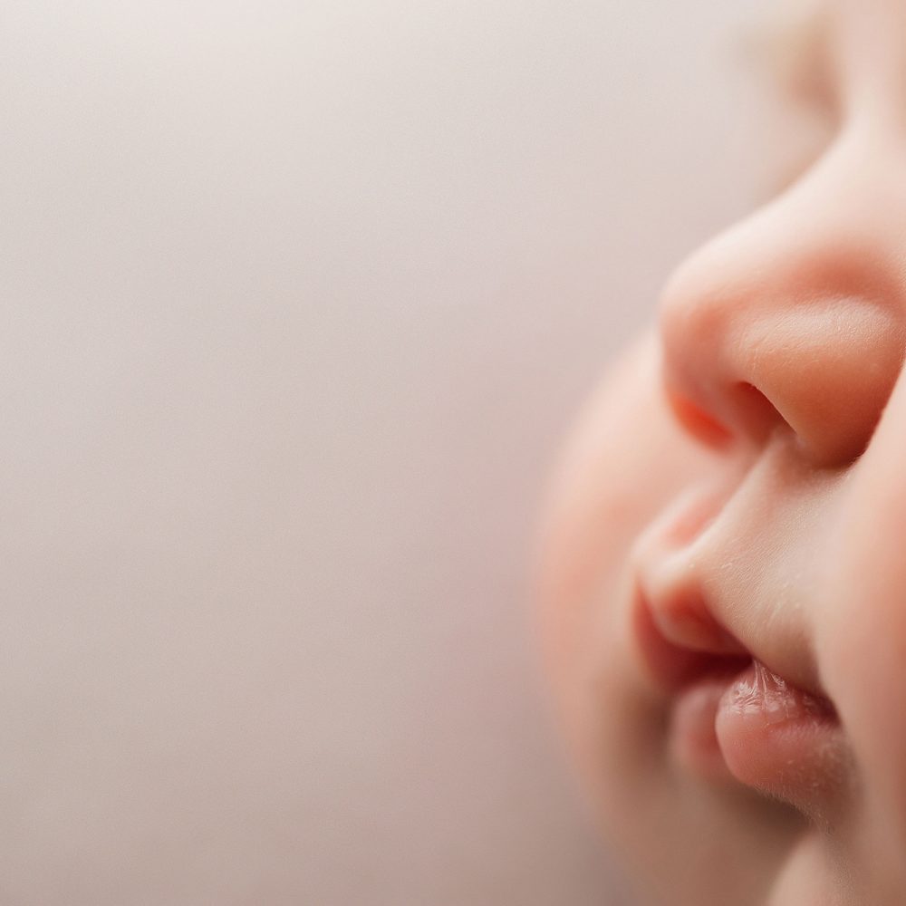 Inspired Print Competition Winners Gallery - National Association of ...